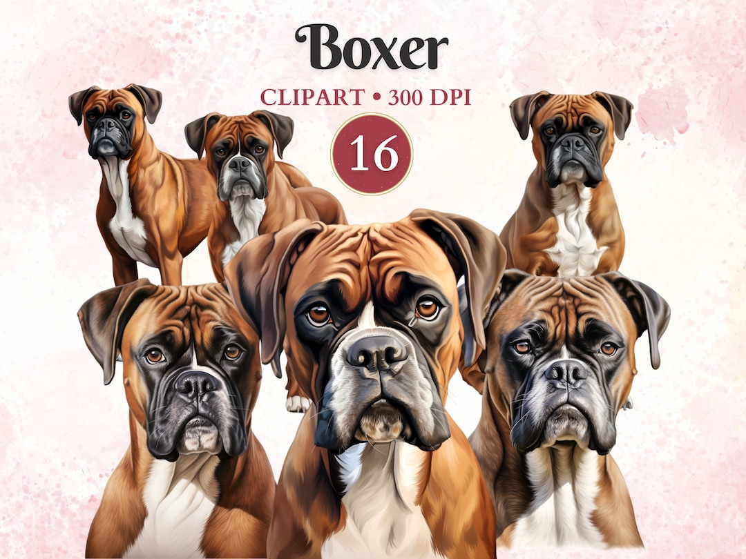 Boxer Clipart, Boxer Dog, Dog Silhouette Clip Art, Pet Graphics, Pet ...