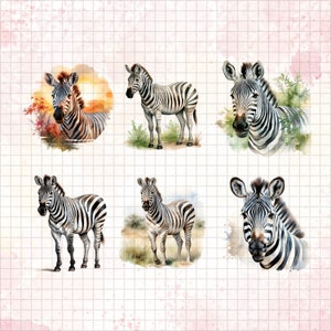 Zebra Clipart, Watercolor, Zebra Png, Safari Clipart, Safari Animal ...