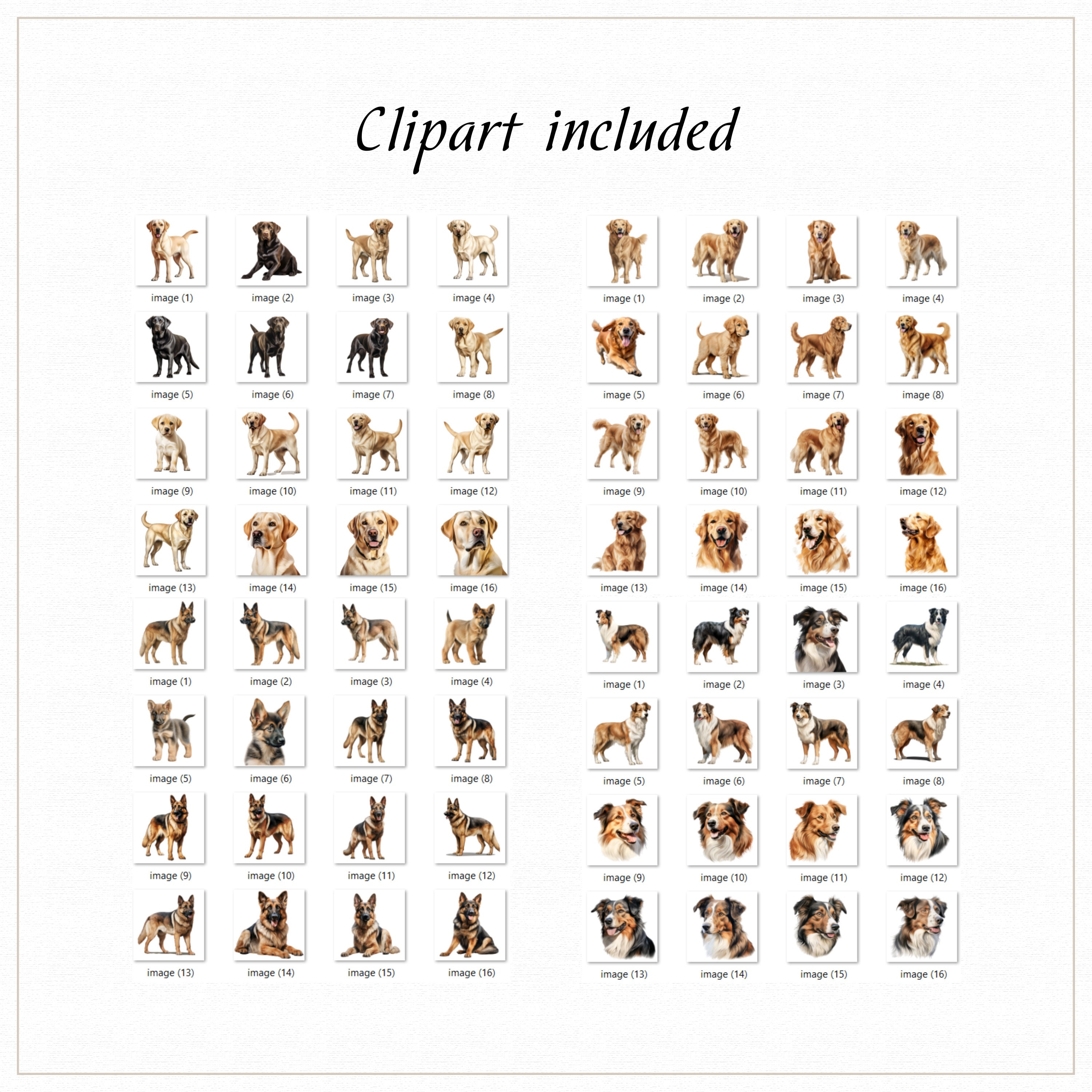 Dogs Breeds Clipart Bundle, Labrador Retriever, Golden Retriever ...
