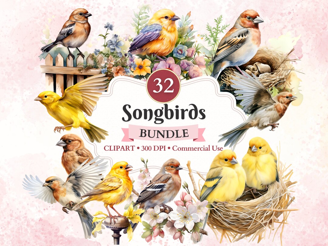 Songbirds Clipart Bundle, Bird Png, Bird Silhouette, Bird Vector ...