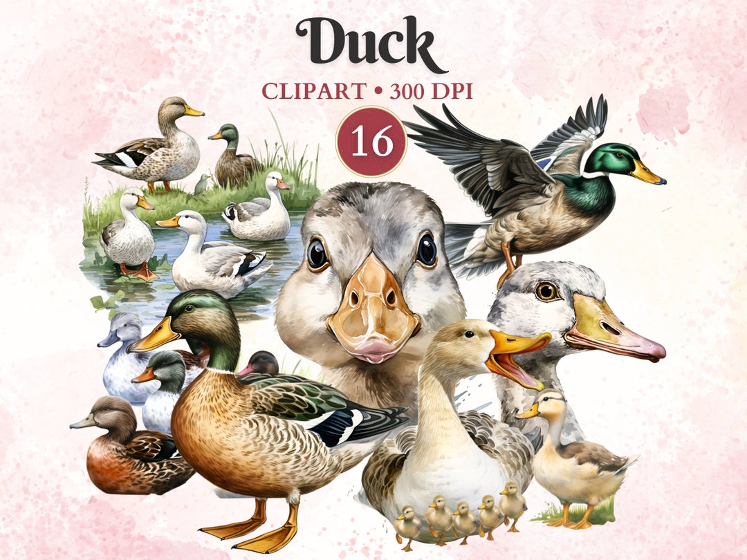 Duck Clipart, Duck Png, Duck Silhouette, Duckling Png, Farm Animals ...