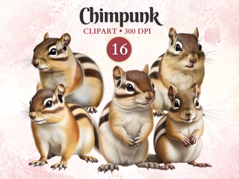 Chipmunk Clipart, Squirrel Silhouette, Vector Chipmunk, Woodland Animal ...