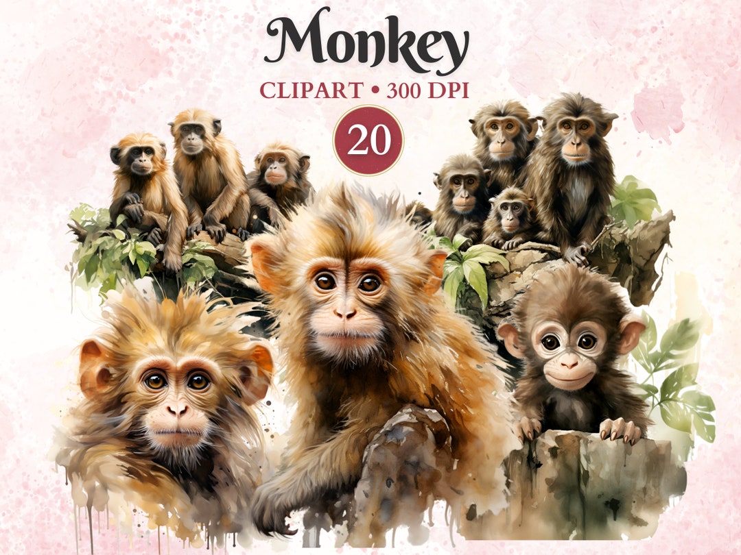 Monkey Clipart, Monkey Png, Watercolor, Jungle Animal Clipart, Woodland ...
