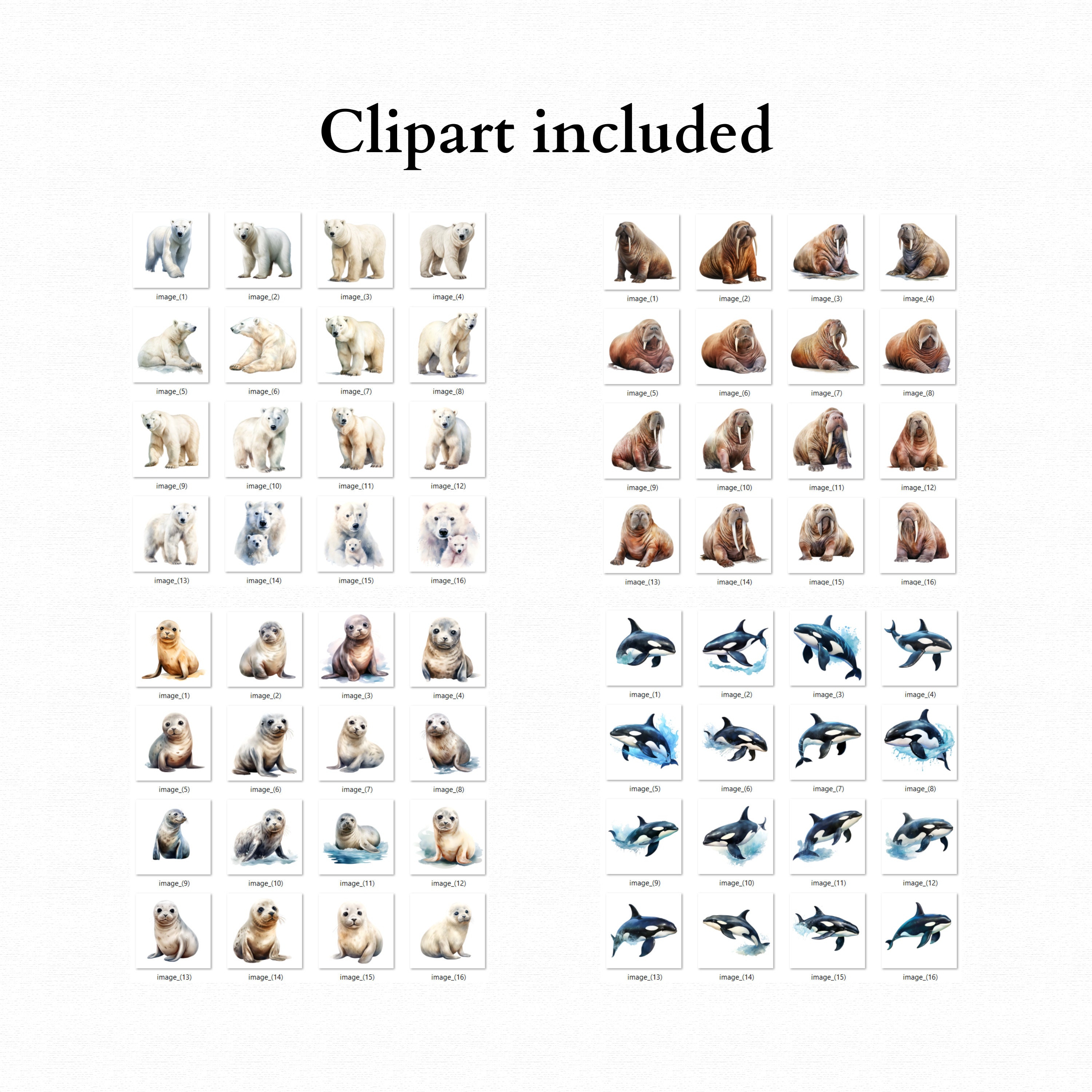 Arctic Animals Clipart Bundle, North Pole, Polar Bear, Walrus, Seal ...