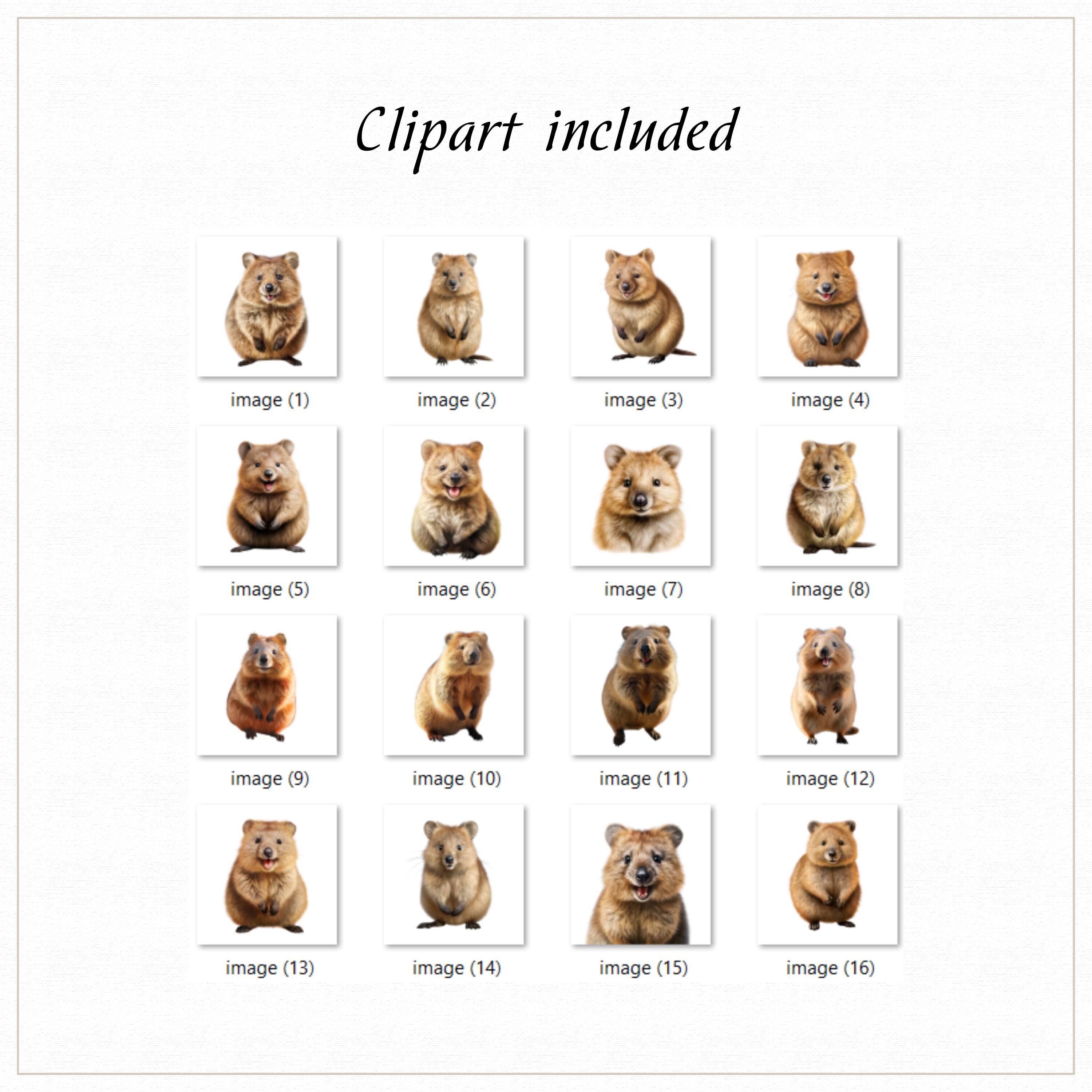 Quokka Clipart, Wild Animals, Quokka Art Printable, Wildlife Clipart ...