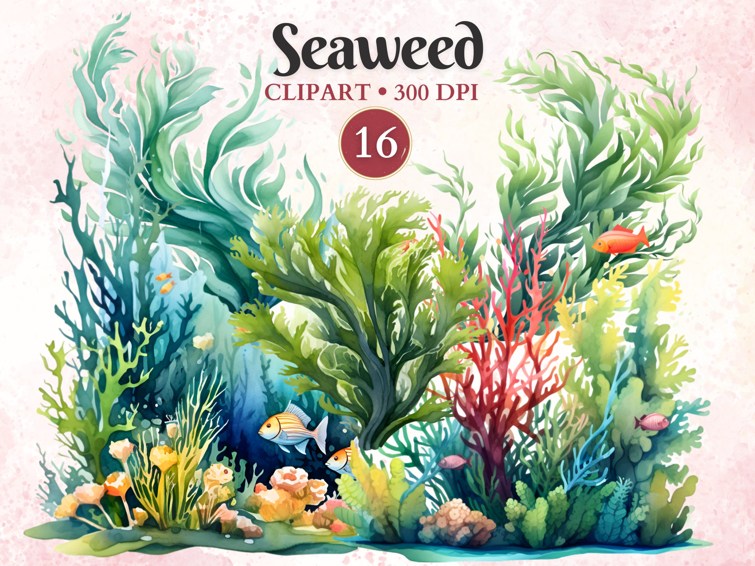 Seaweed Clipart, Seaweed Png, Watercolor, Ocean Clipart, Ocean Life ...