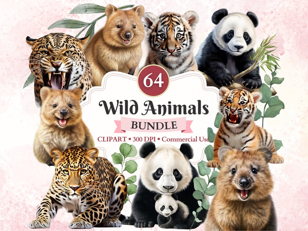 Wild Animals Clipart Bundle, Leopard Clipart, Quokka Png, Panda ...
