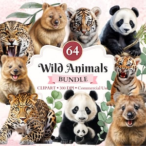 Wild Animals Clipart Bundle, Leopard Clipart, Quokka Png, Panda ...