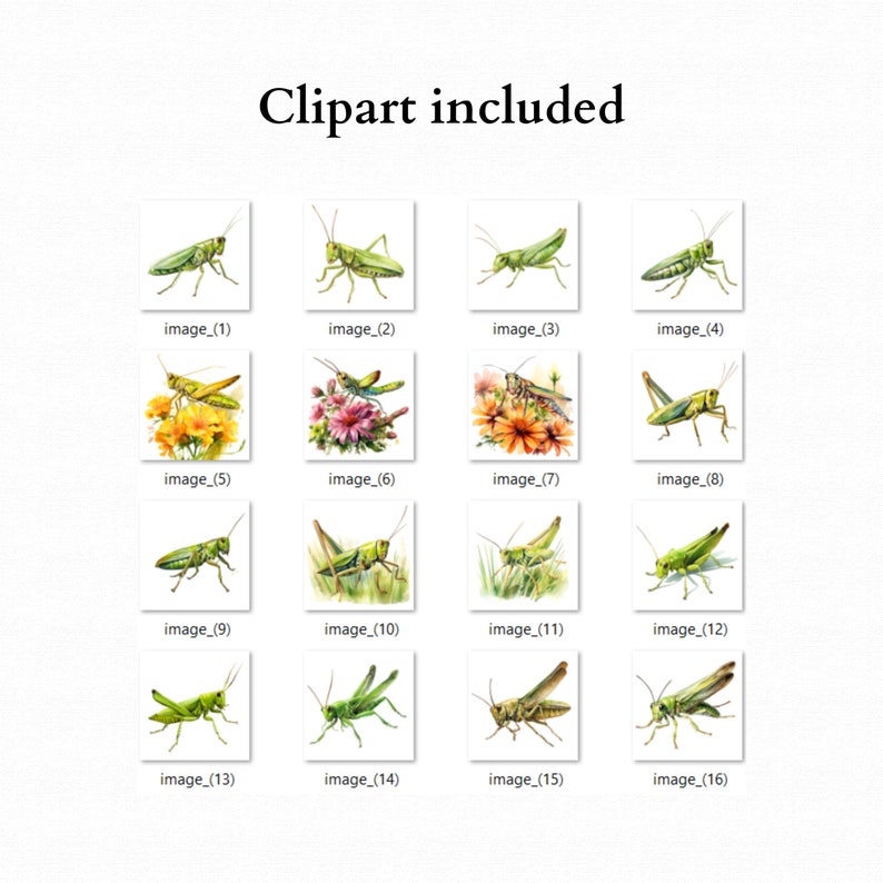 Grasshopper Clipart, Grasshopper Png, Insect Clipart, Silhouette ...