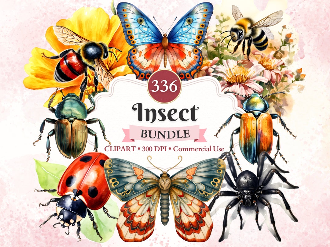 Insect Clipart Bundle, Insect Png, Insect Vector, Silhouette ...
