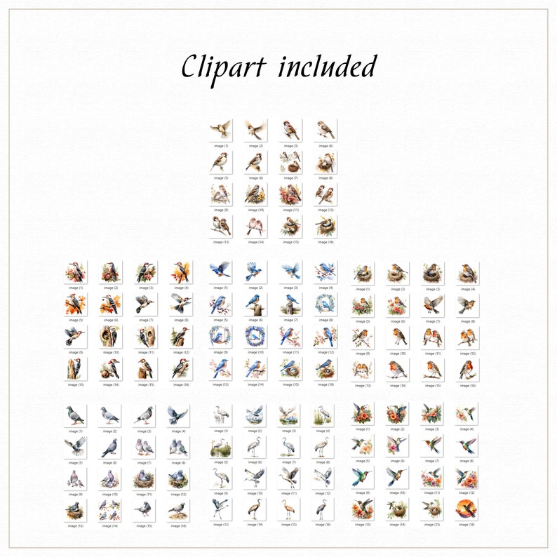 Birds Clipart Bundle, Bird Png, Bird Silhouette, Bird Vector, Nature ...