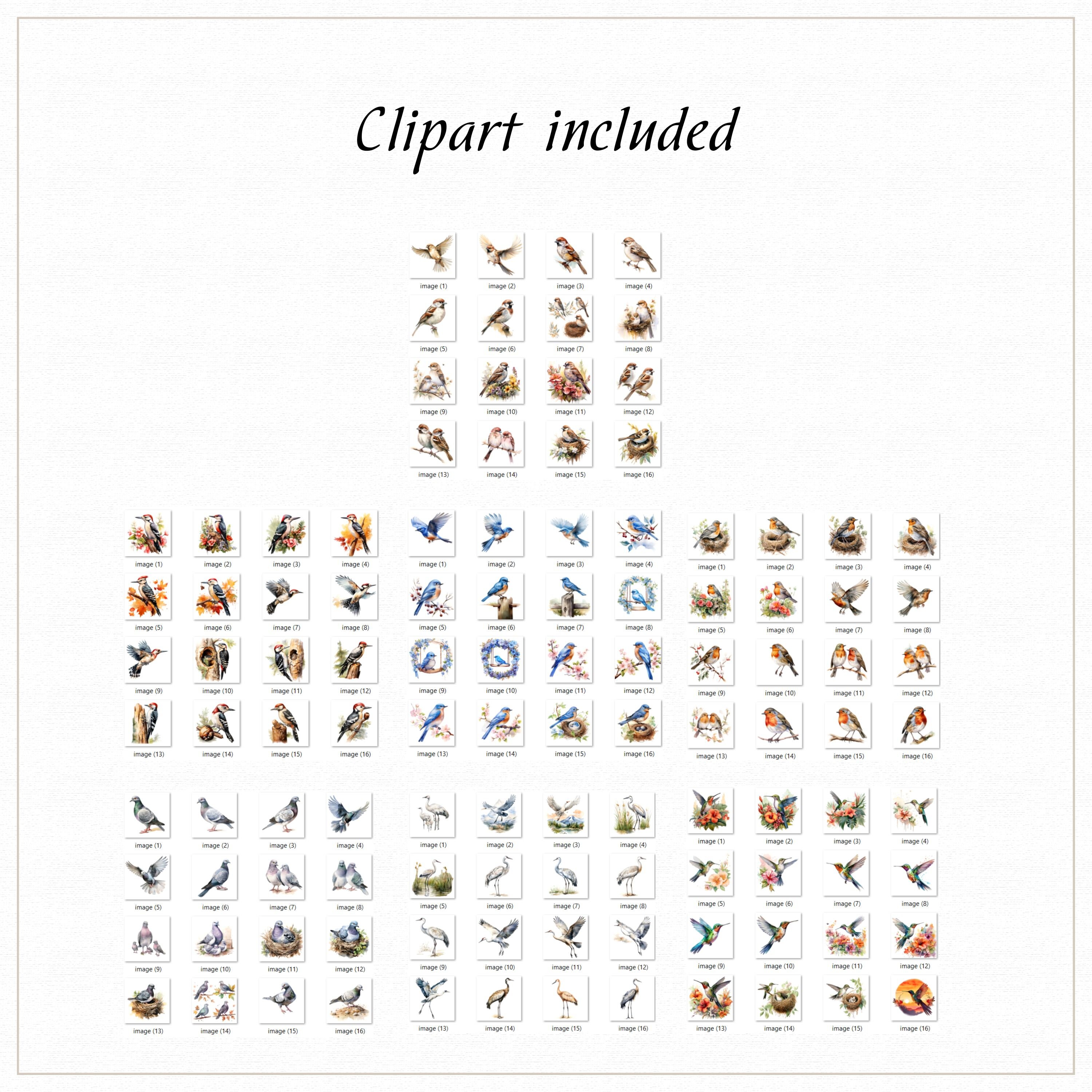 Birds Clipart Bundle, Bird Png, Bird Silhouette, Bird Vector, Nature ...