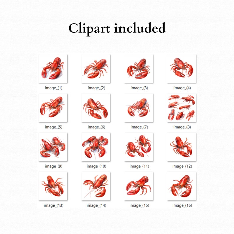 Crawfish Clipart Crawfish Png Crawfish Vector Fish Clipart - Etsy