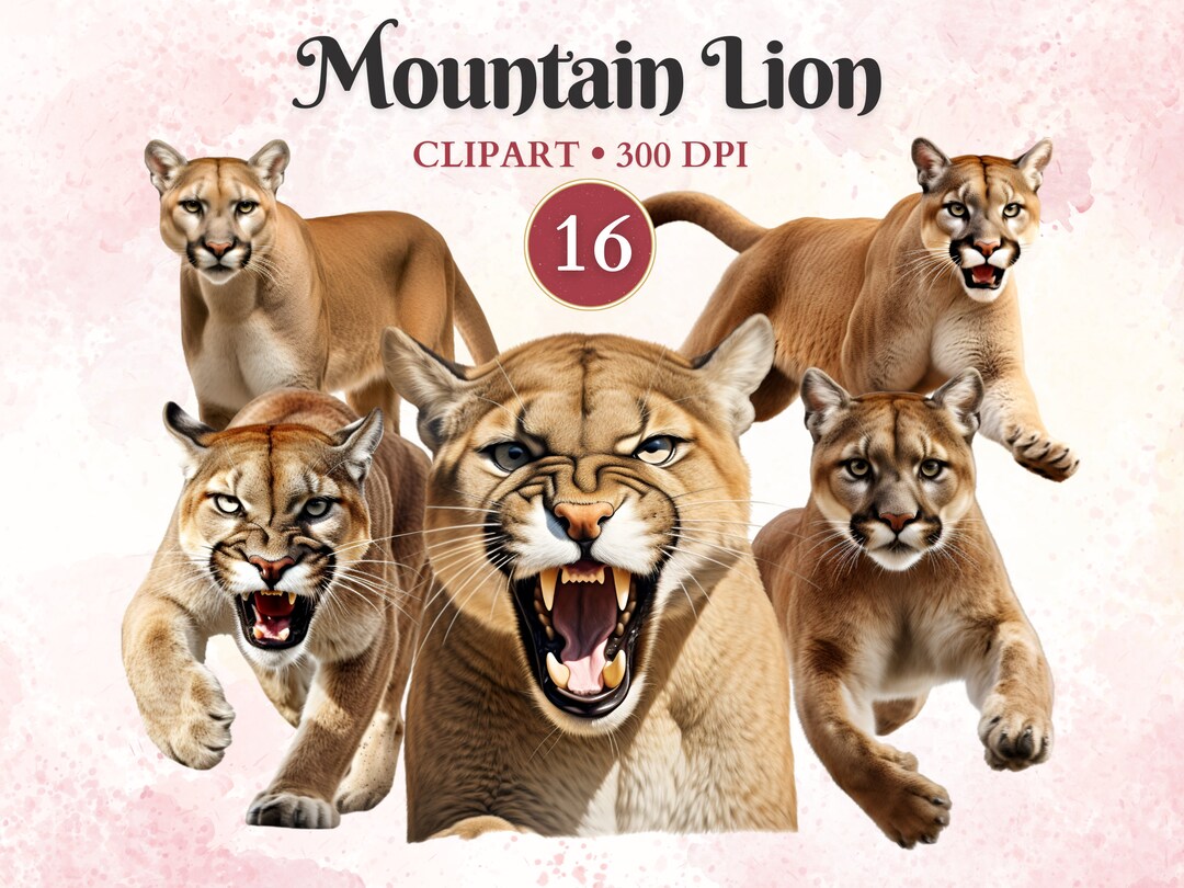 Mountain Lion Clipart, Wild Animals, Cougar Clipart, Mountain Lion ...