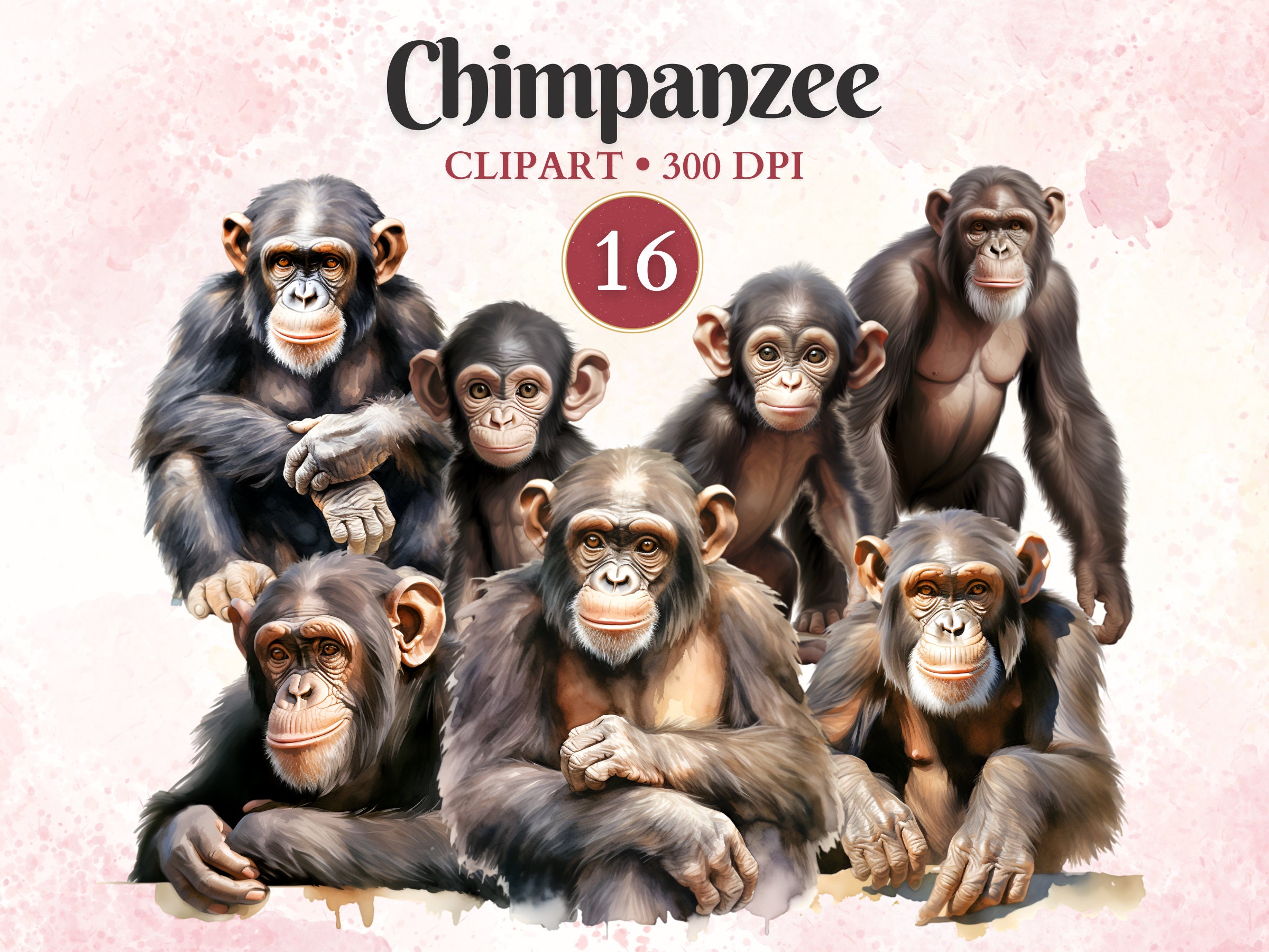 Chimpanzee Clipart, Chimpanzee Png, Monkey Png, Zoo Animals Clipart ...