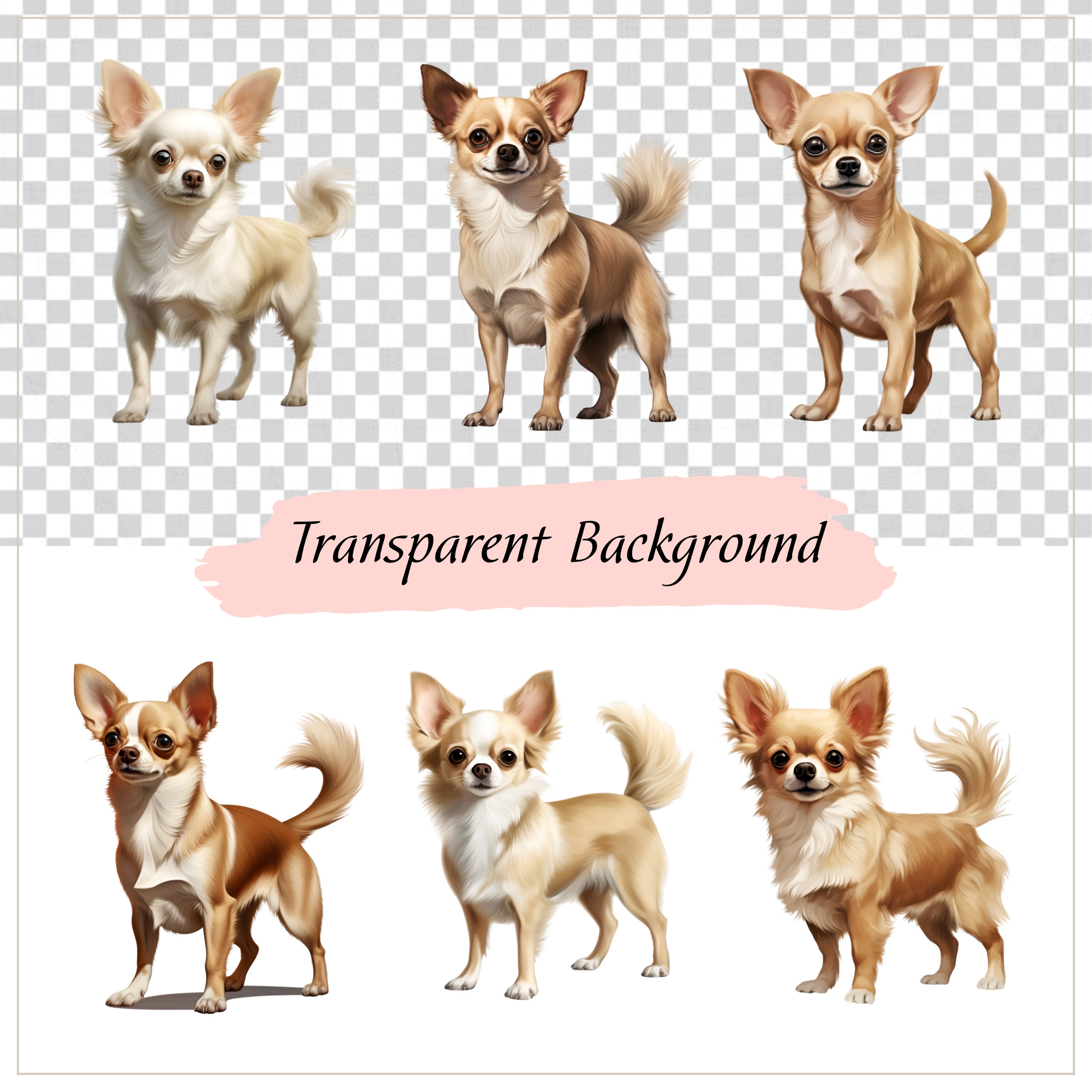 Chihuahua Clipart, Cute Chihuahua, Pet Graphics, Dog Vector Art, Animal ...