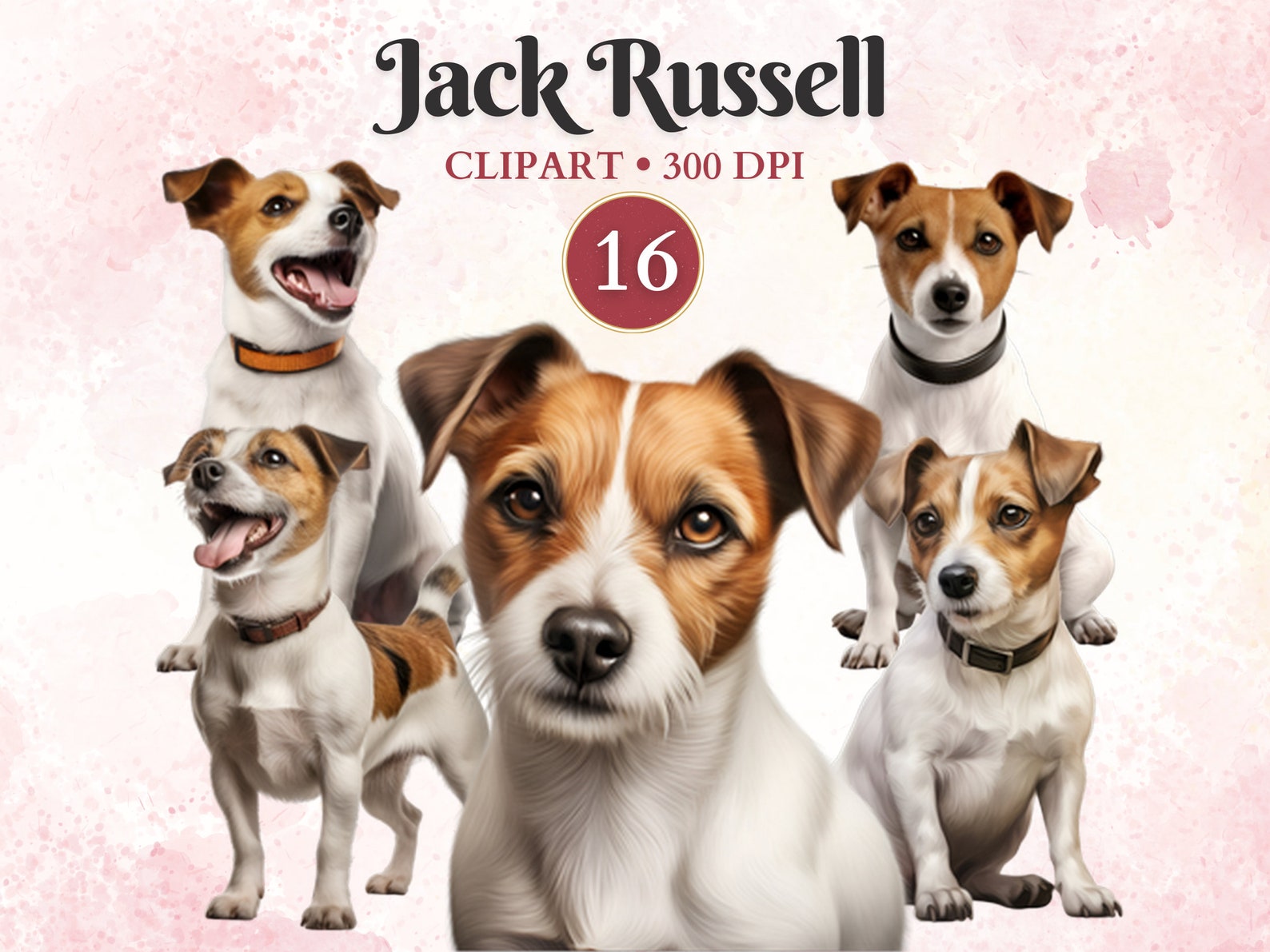 Jack Russell Clipart, Jack Russell Terrier, Pet Graphics, Dog Vector ...
