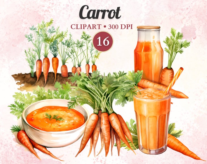 Watercolor Carrots Clipart, Colored Carrot, Eco Farm Vegetables, Fresh ...