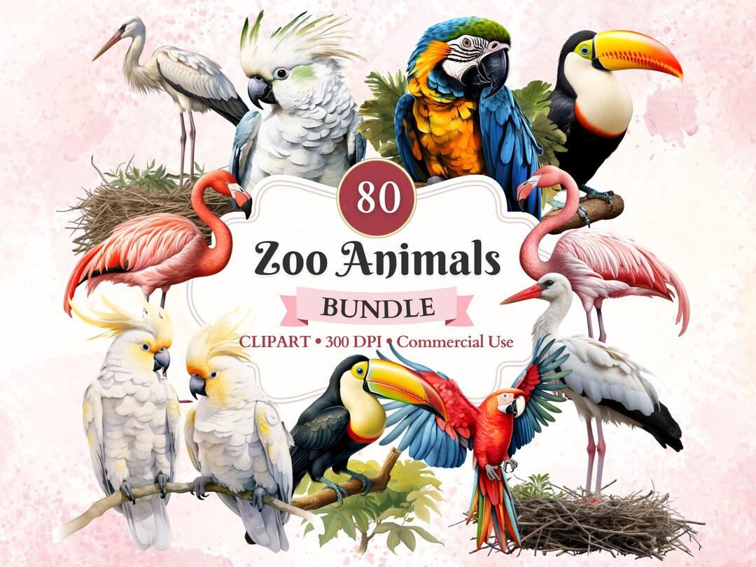 Zoo Animals Clipart Bundle, Macaw, Parrot, Toucan, Flamingo, Stork ...
