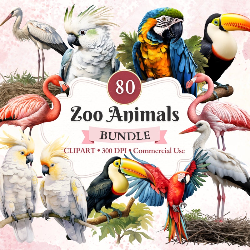 Zoo Clipart - Etsy