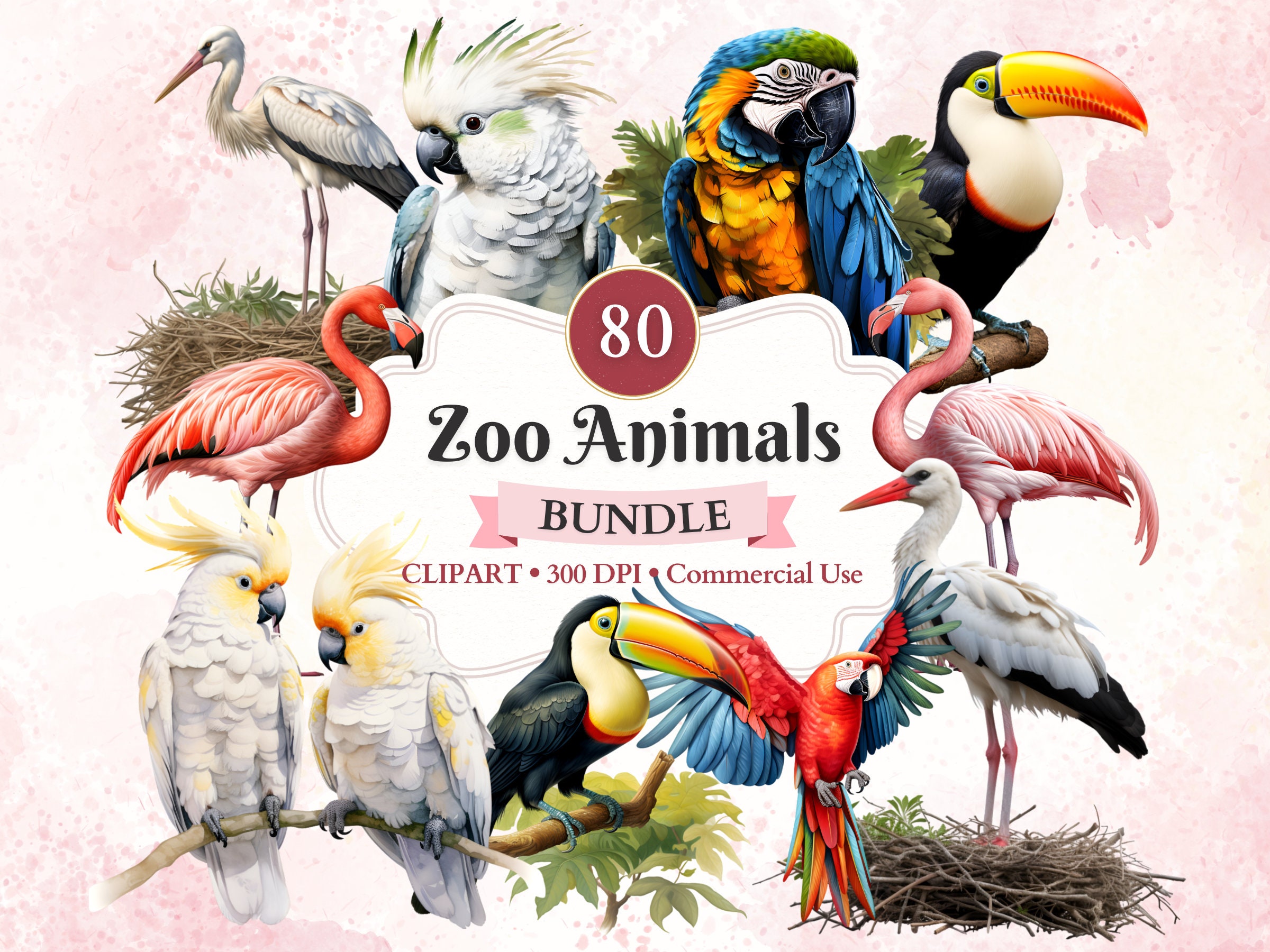 Zoo Animals Clipart Bundle, Macaw, Parrot, Toucan, Flamingo, Stork ...