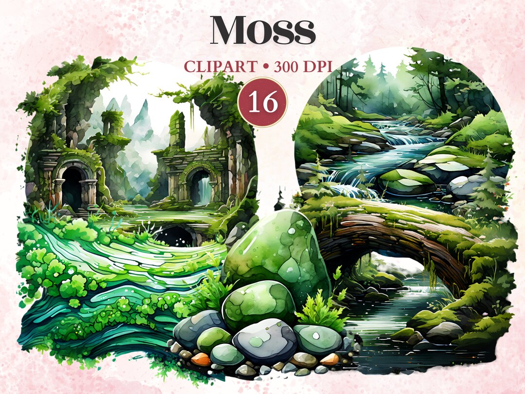 Moss Clipart, Moss Graphic, Meadow Watercolor, Outdoor Png, Wilderness ...