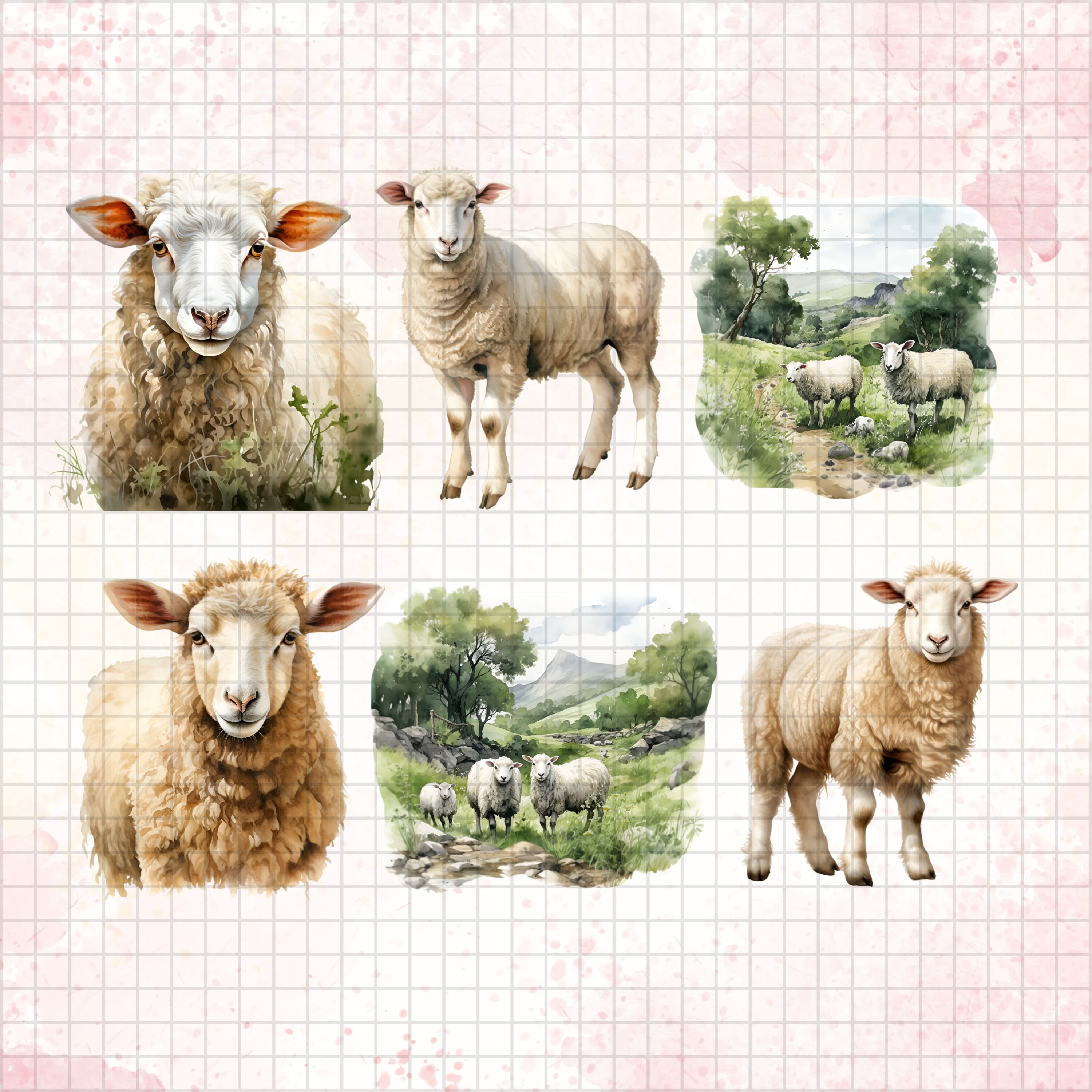 Sheep Clipart, Watercolor, Sheep Png, Sheep Vector, Farm Animal Clipart ...