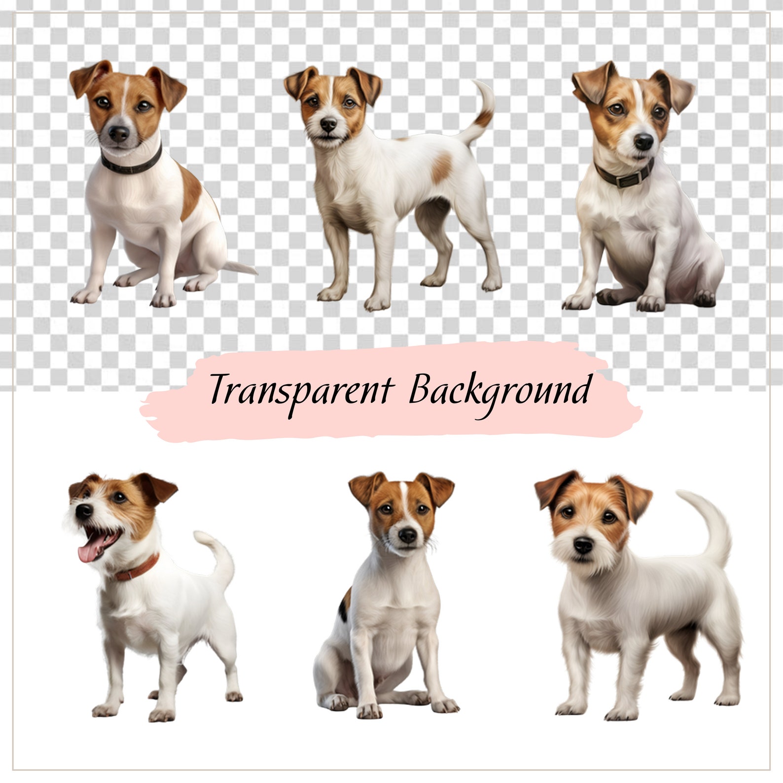 Jack Russell Clipart, Jack Russell Terrier, Pet Graphics, Dog Vector ...
