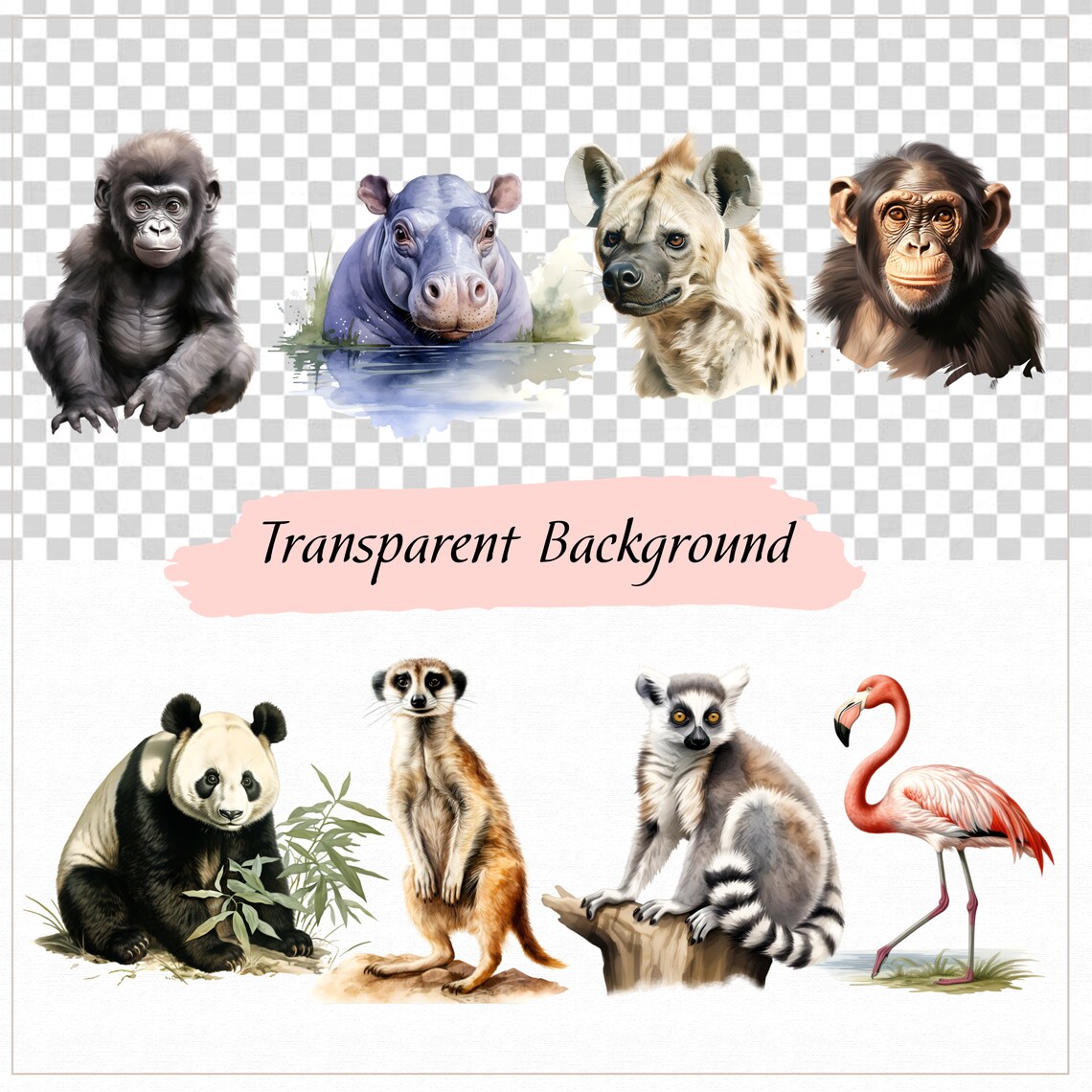 Zoo Animals Clipart Bundle, Lion, Zebra, Monkey, Giraffe, Hippo ...