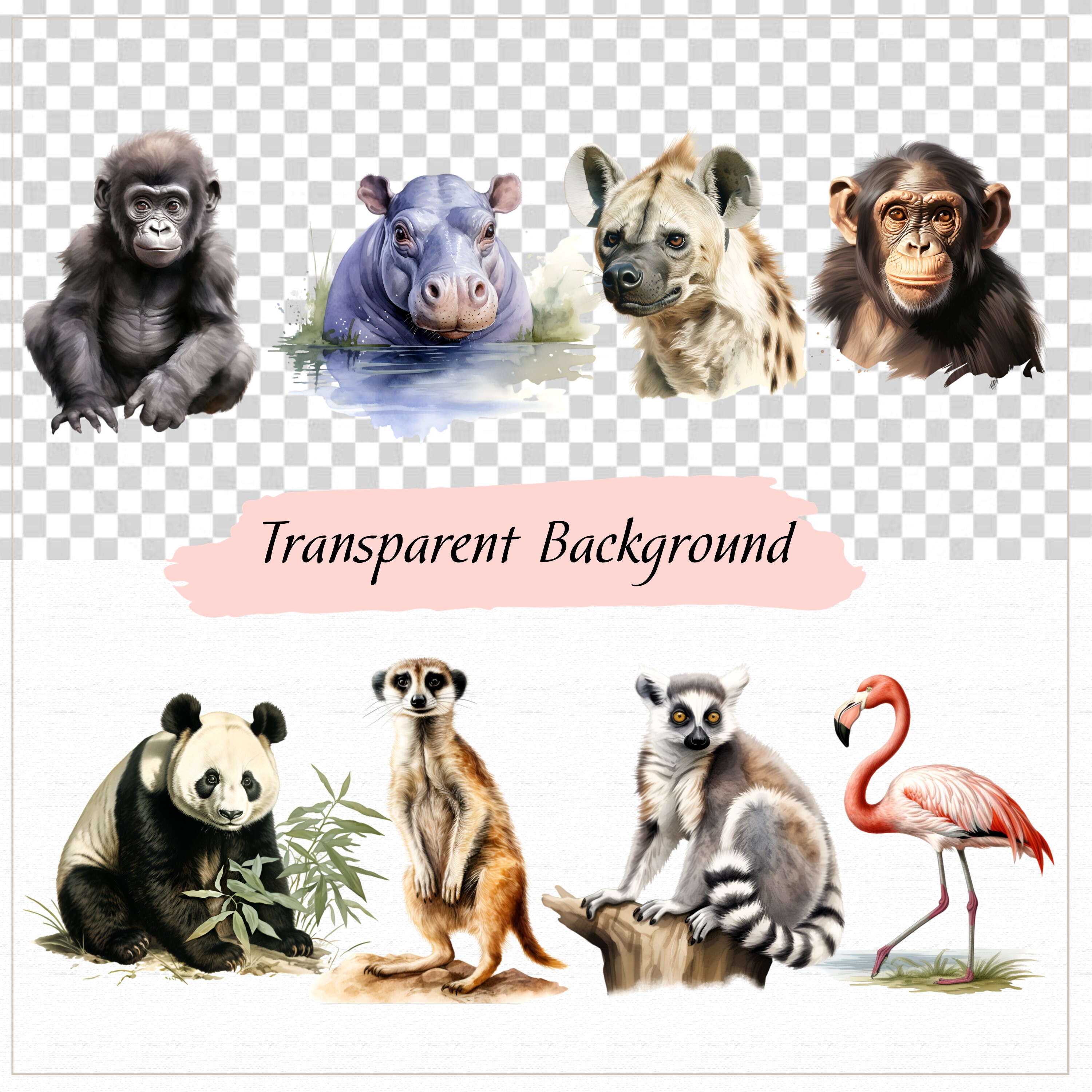 Zoo Animals Clipart Bundle, Lion, Zebra, Monkey, Giraffe, Hippo ...