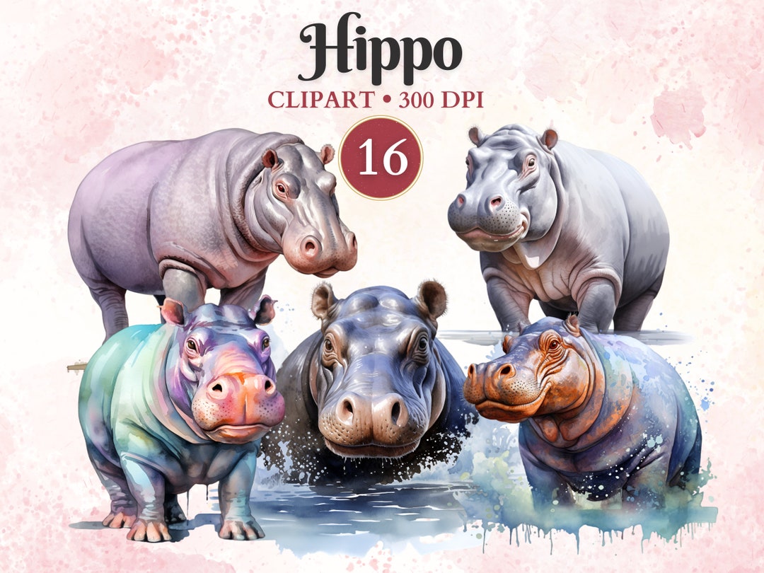 Hippo Clipart, Hippo Png, Safari Animals, Hippopotamus Clipart ...
