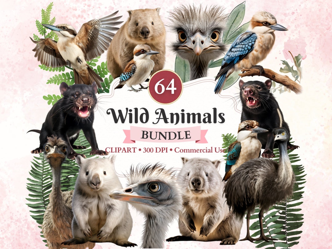 Wild Animals Clipart Bundle, Wombat, Tasmanian Devil, Kookaburra, Emu ...