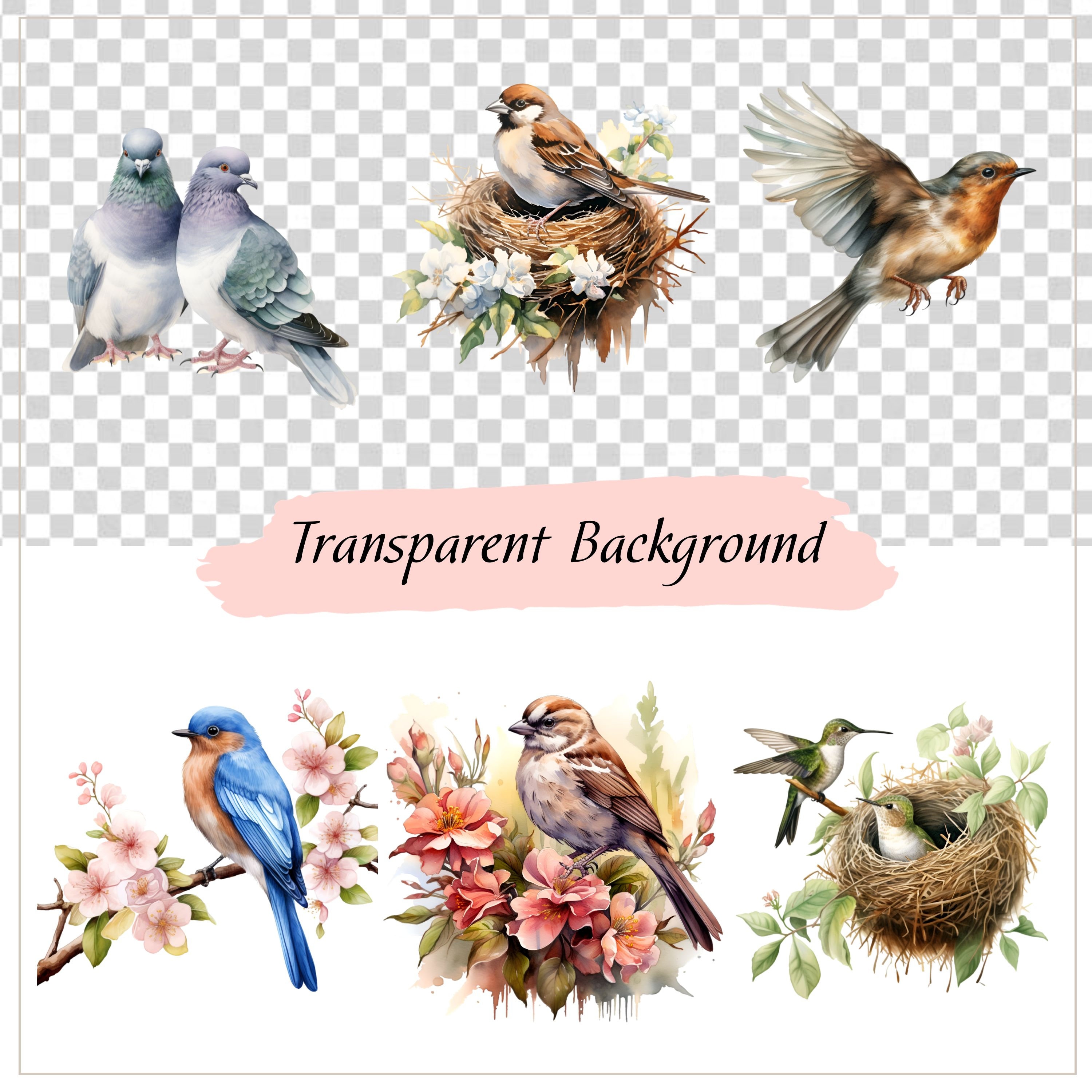 Birds Clipart Bundle, Bird Png, Bird Silhouette, Bird Vector, Nature ...
