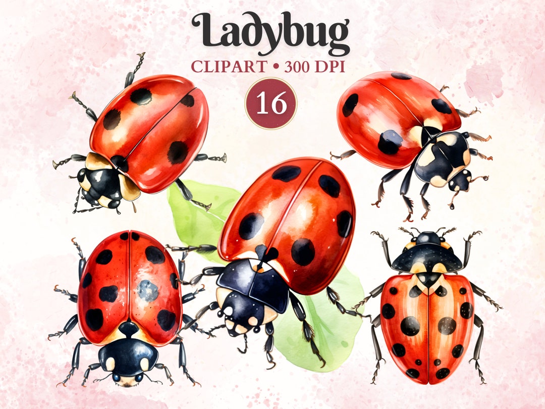 Ladybug Clipart, Ladybug Png, Insect Clipart, Silhouette, Entomology ...