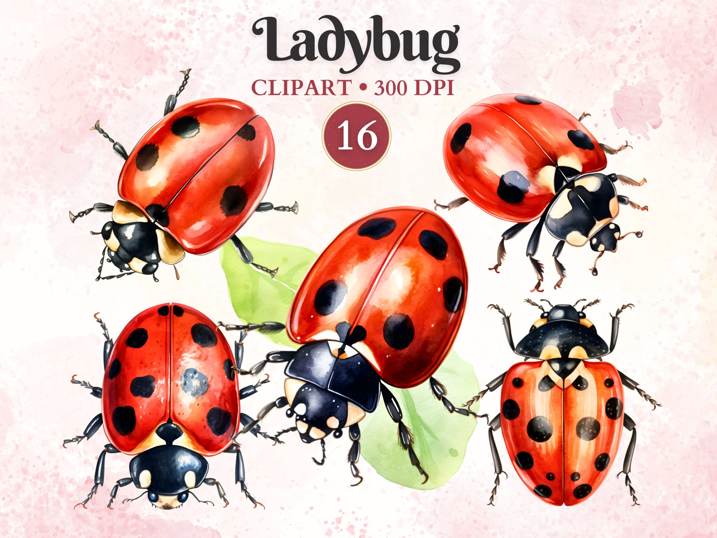 Ladybug Clipart, Ladybug Png, Insect Clipart, Silhouette, Entomology ...