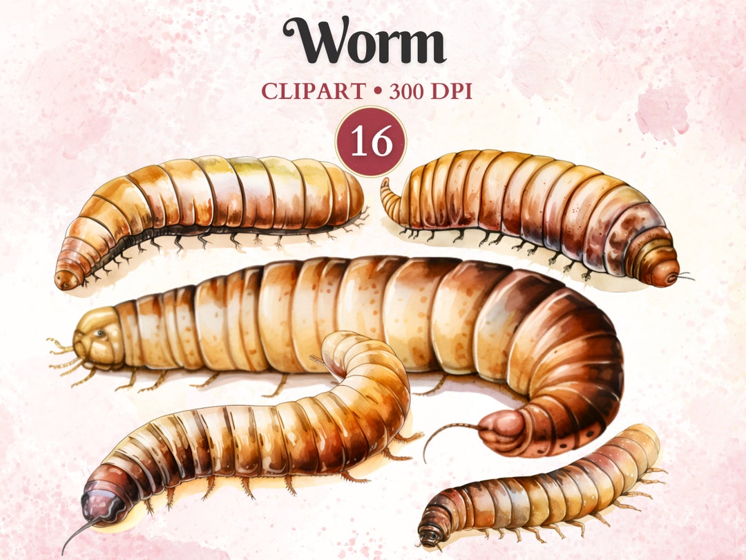 Worm Clipart, Worm Png, Worm Image, Insect Clipart, Silhouette ...