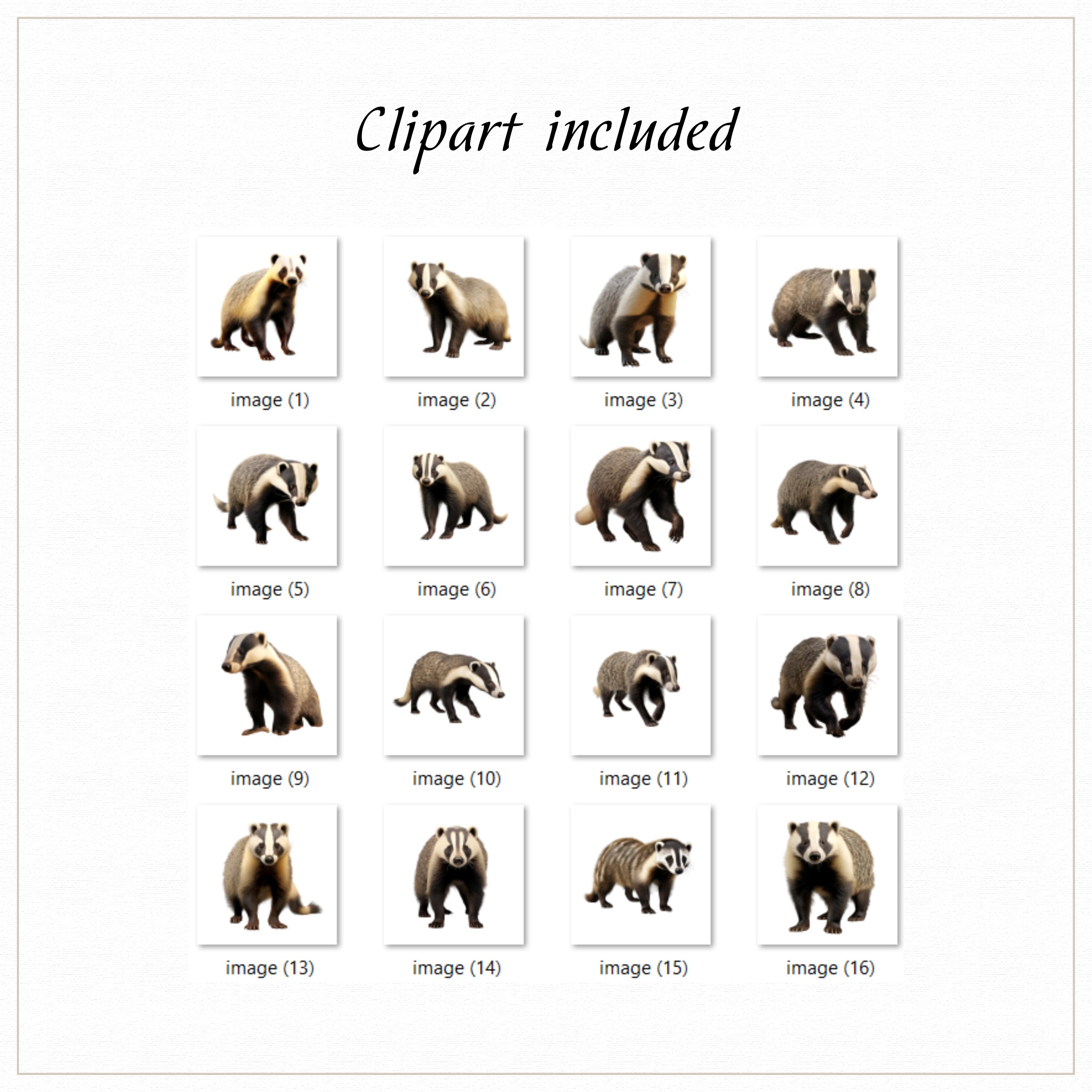 Badger Clipart, Wild Animals, Honey Badger, Wildlife Clipart, Forest ...