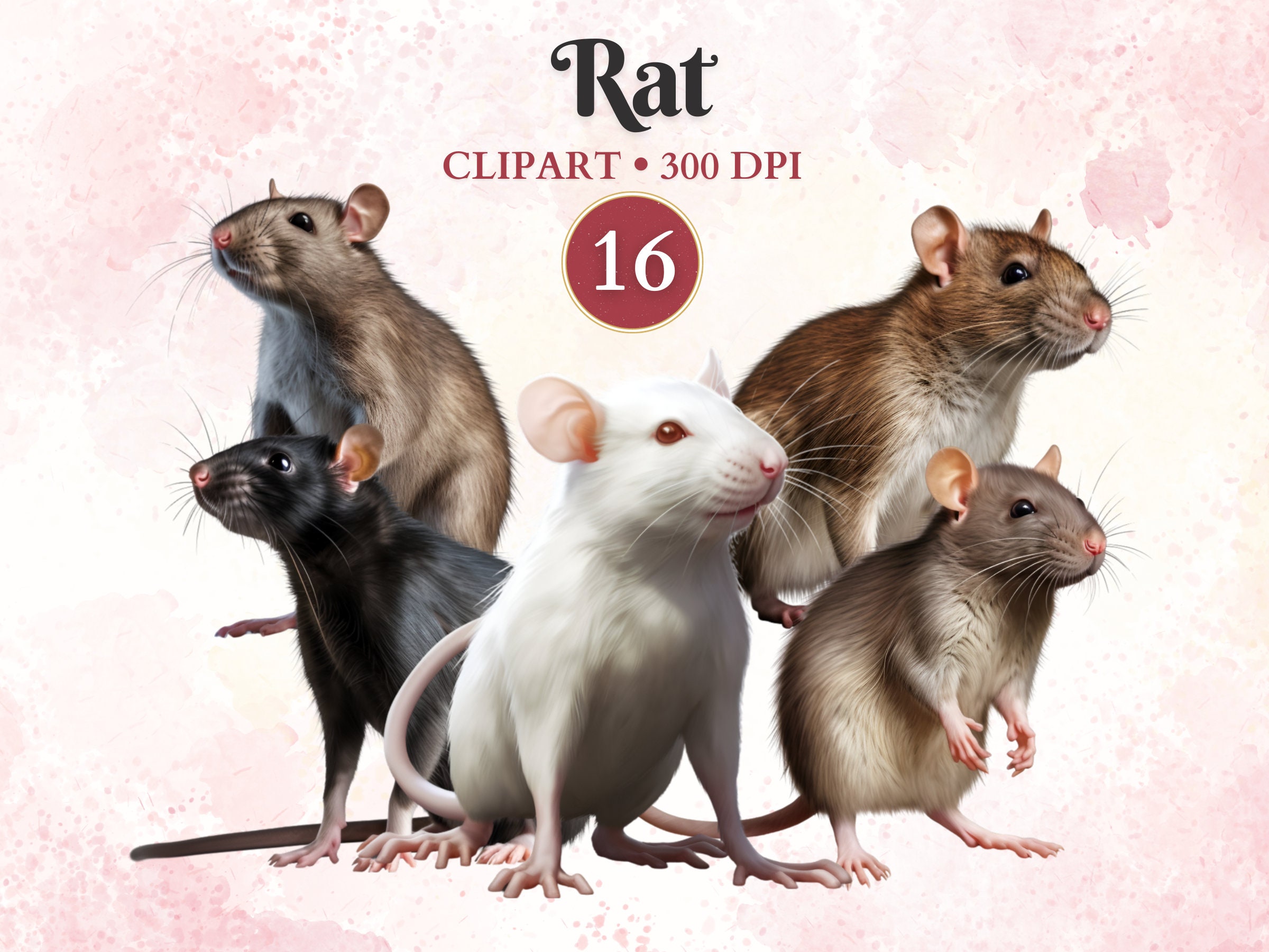 Rat Clipart, Rat Vector, Domestic Animals, Rodent Clipart, Rodent ...