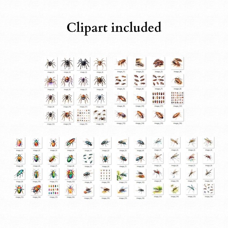 Household Pests Clipart Bundle, Insect Clipart, Silhouette, Entomology ...