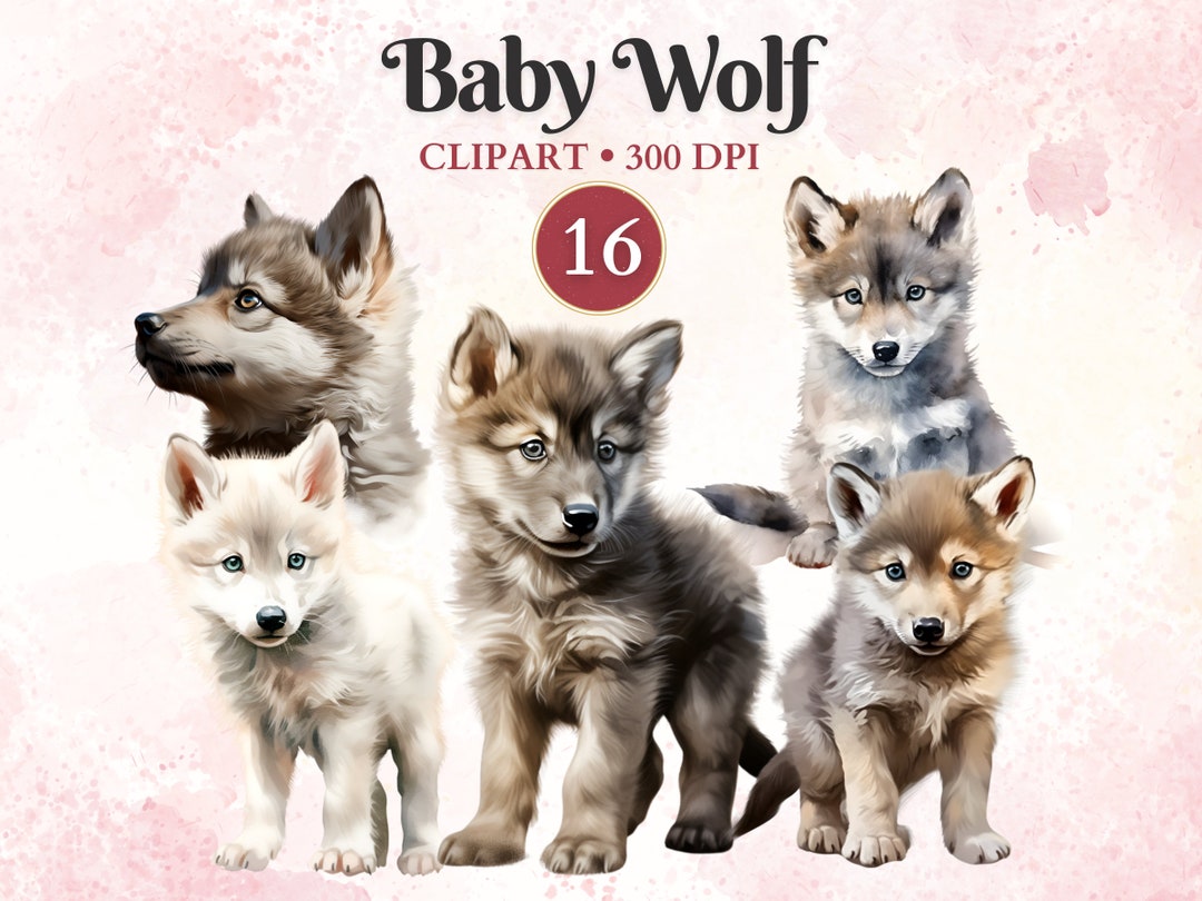 Baby Wolf Clipart, Wolf Vector, Forest Animal, Woodland Animal, Nursery ...