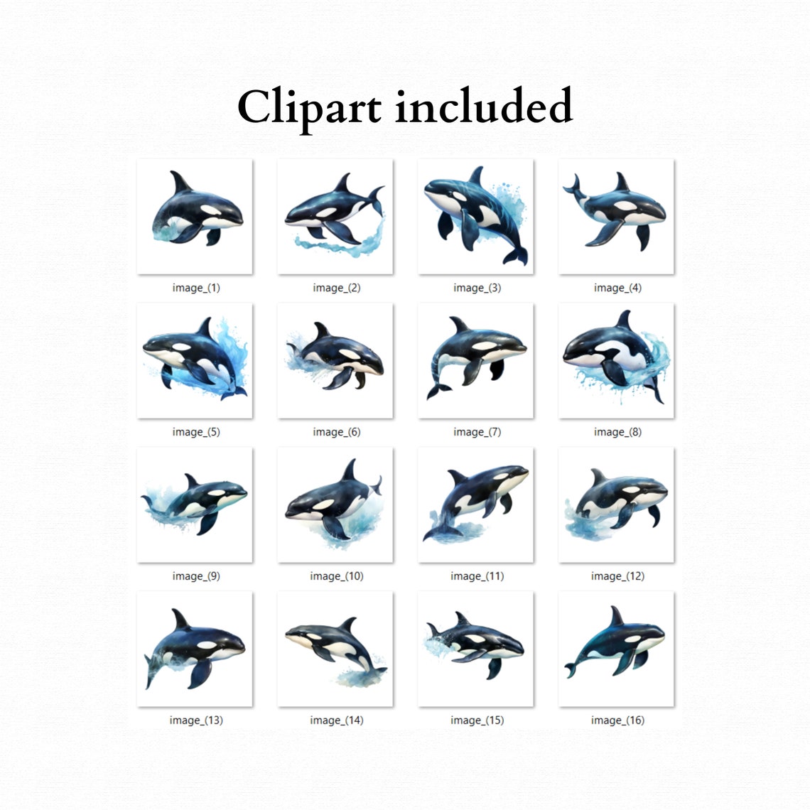 Schwertwal Clipart, Schwertwal Clipart, Orca Png, Nordpol, Tiere der ...