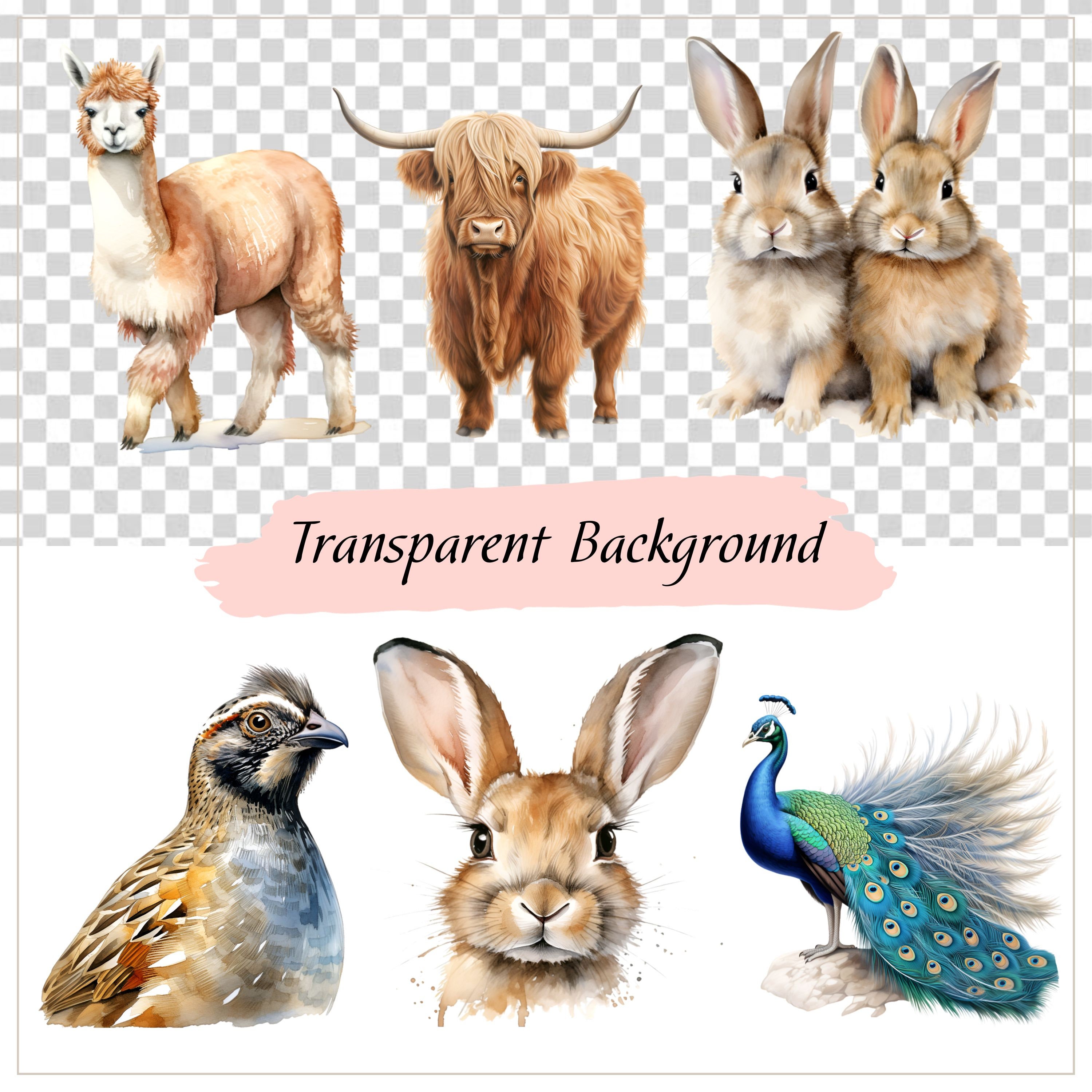 Farm Animals Clipart Bundle, Farm Animals Images, Rabbit, Alpaca ...