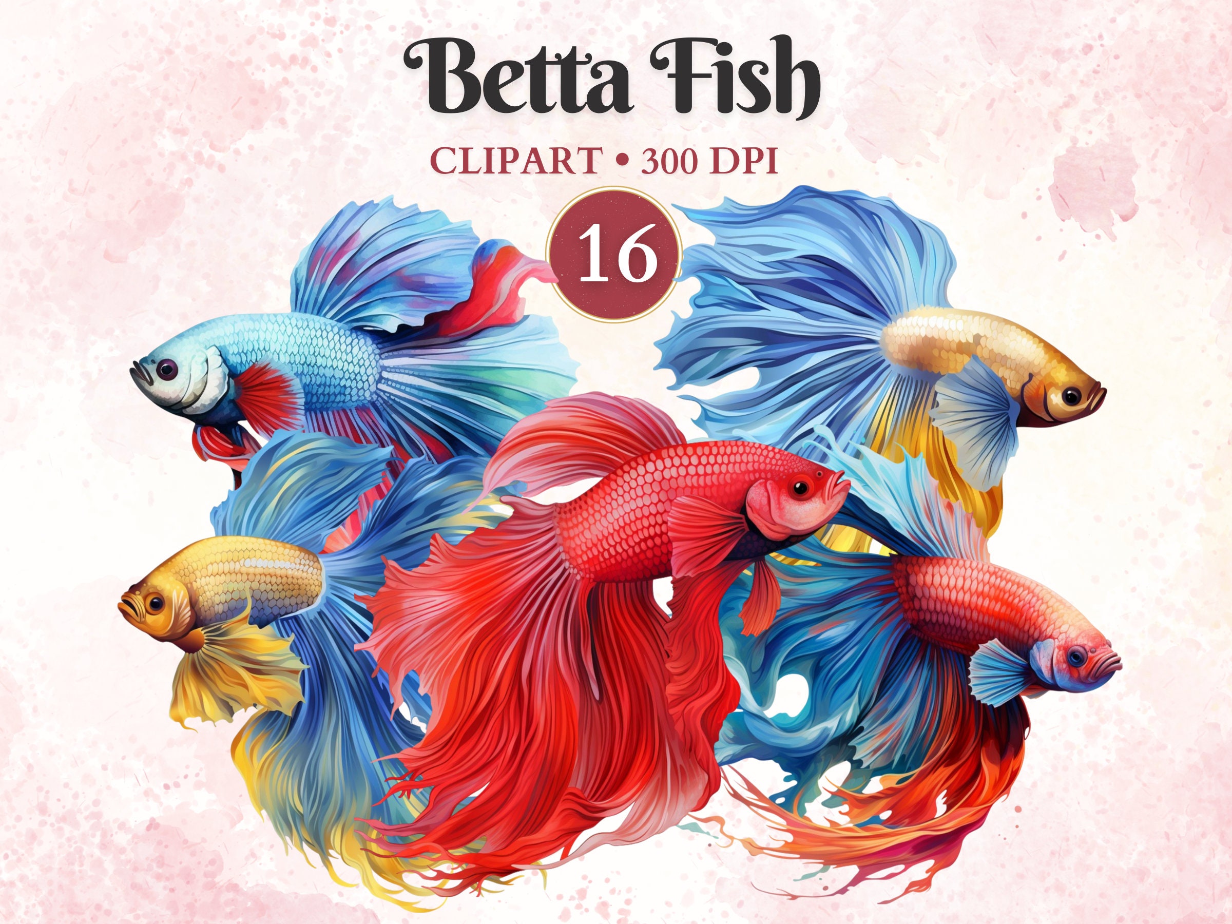 Betta Fish Clipart, Fish Png, Aquarium Clipart, Watercolor Graphics ...
