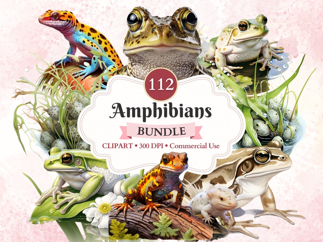 Amphibians Clipart Bundle, Frog Clipart, Frog Vector, Salamander ...