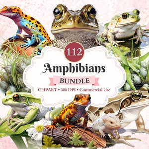 Amphibians Clipart Bundle, Frog Clipart, Frog Vector, Salamander ...