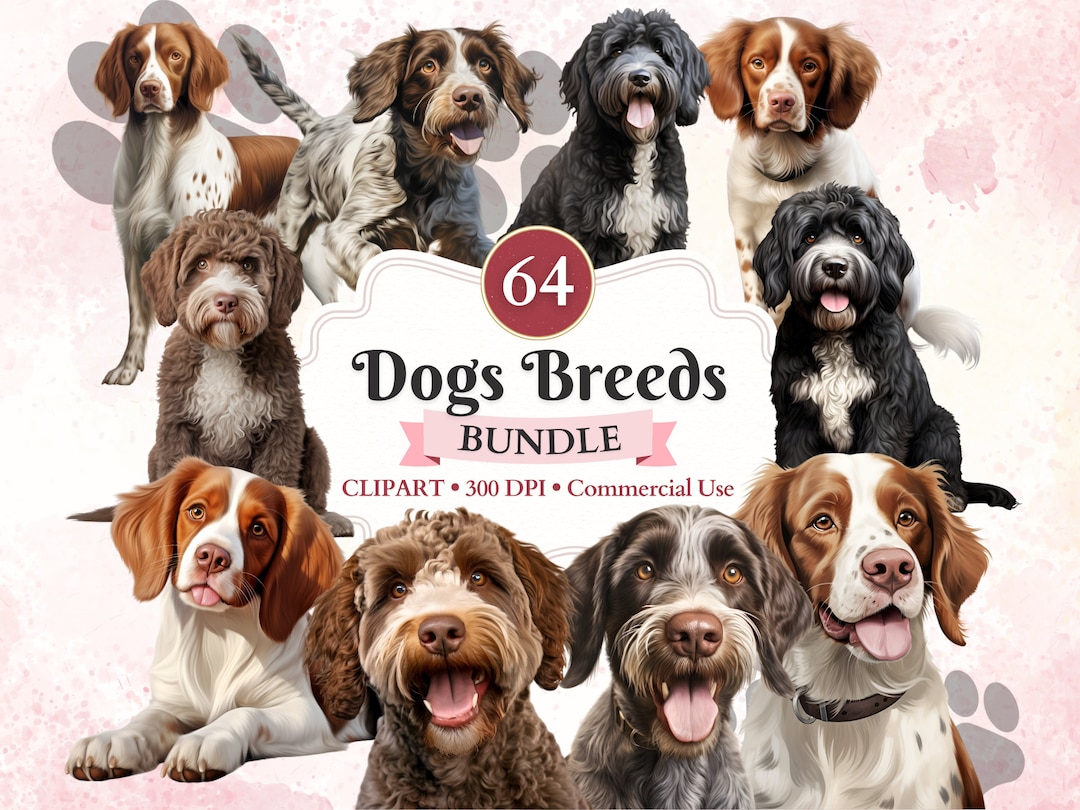 Dogs Breeds Clipart Bundle, Lagotto Romagnolo, Portuguese Water Dog ...