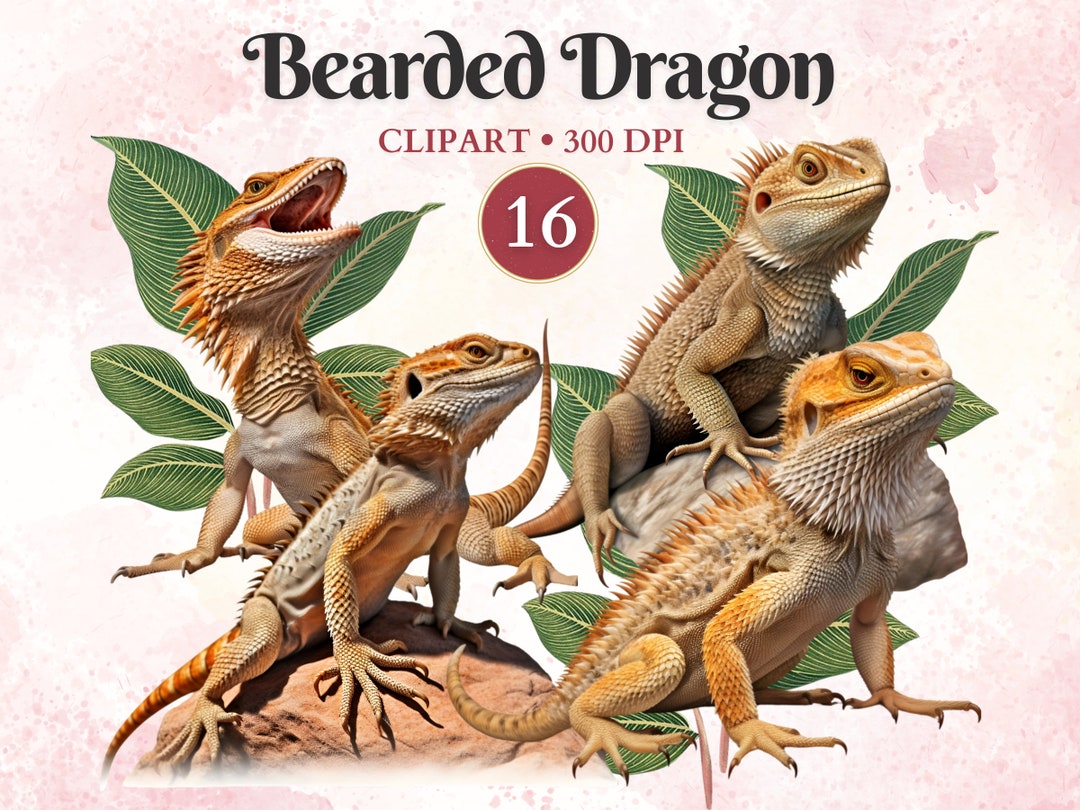 Bearded Dragon Clipart, Australian Animals, Lizard Vector, Dragon ...