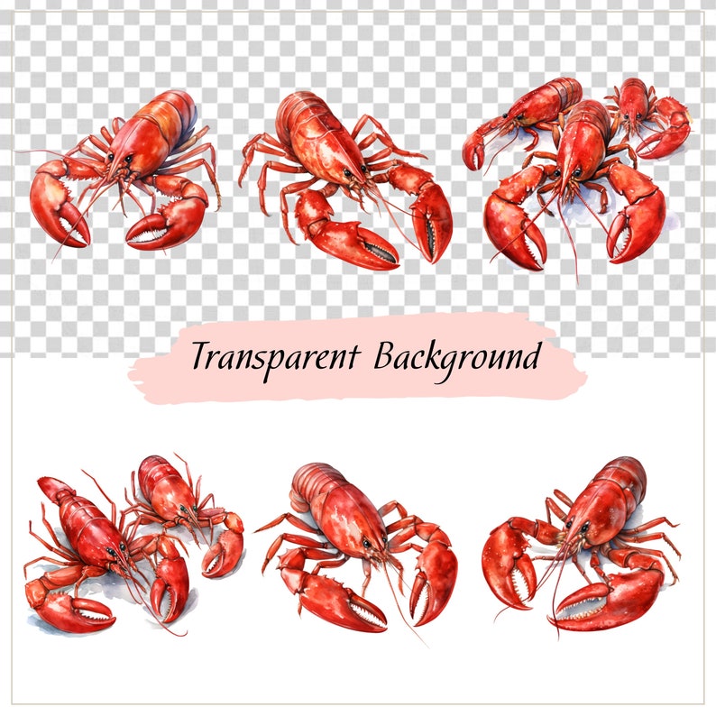 Crawfish Clipart Crawfish Png Crawfish Vector Fish Clipart - Etsy