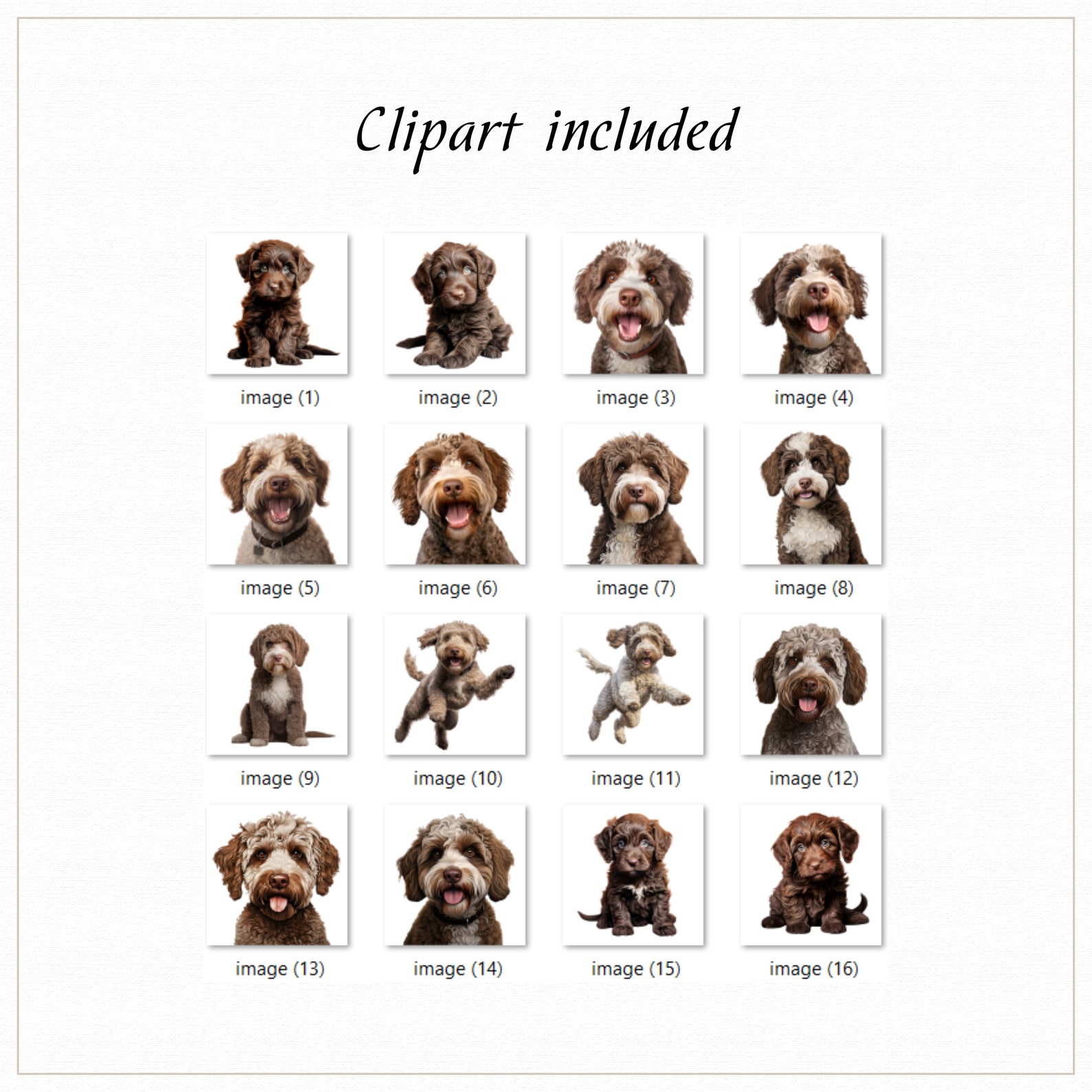 Lagotto Romagnolo Clipart, Italian Dog Breed, Pet Graphics, Pet Vector ...