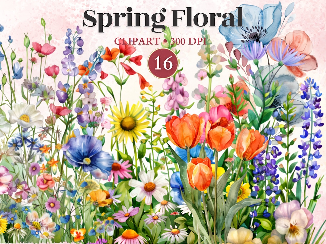 Spring Floral Clipart, Spring Sublimation, Floral Elements, Flower ...